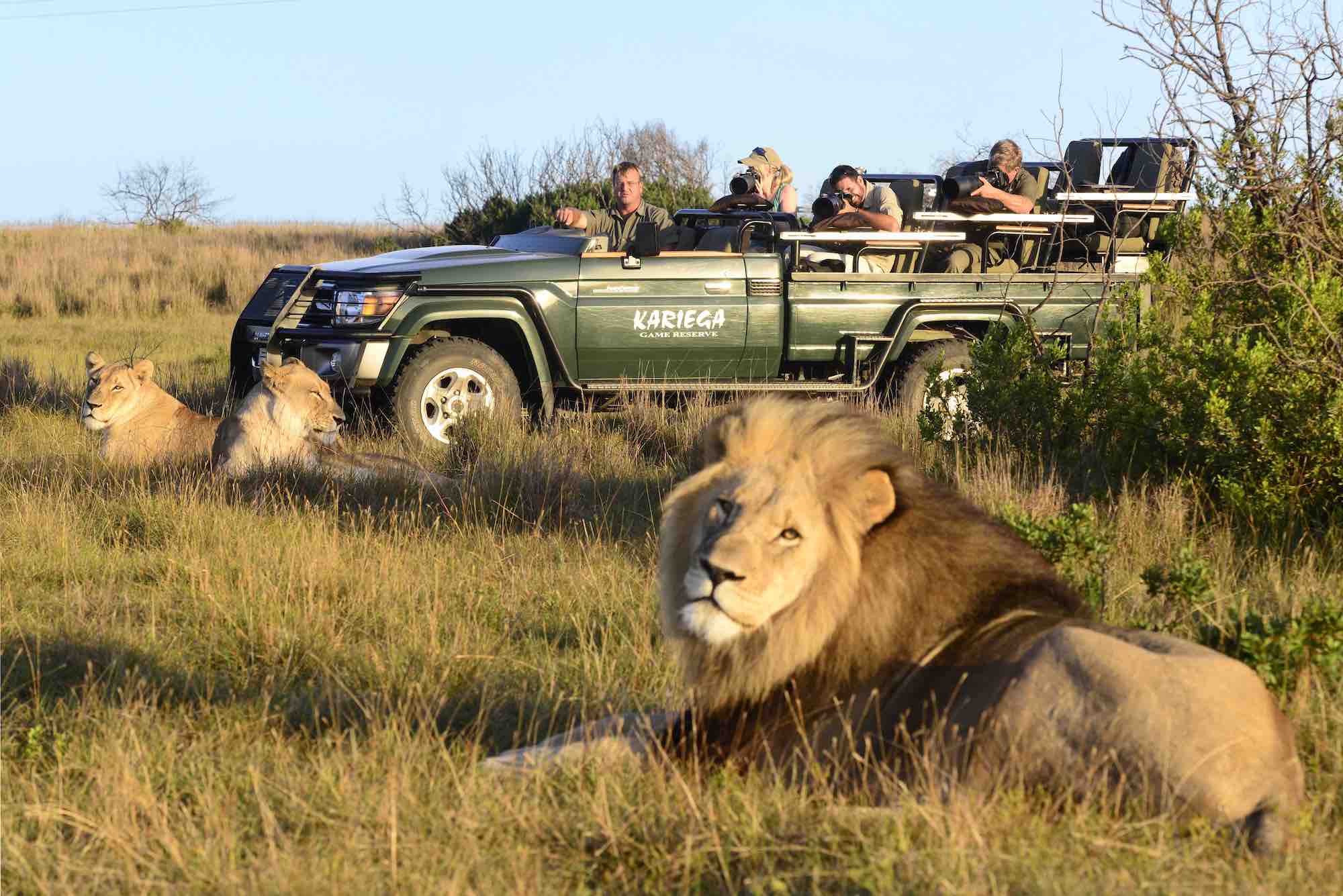 Kariega Game Reserve - We Are Africa Kariega Game Reserve - We Are Africa